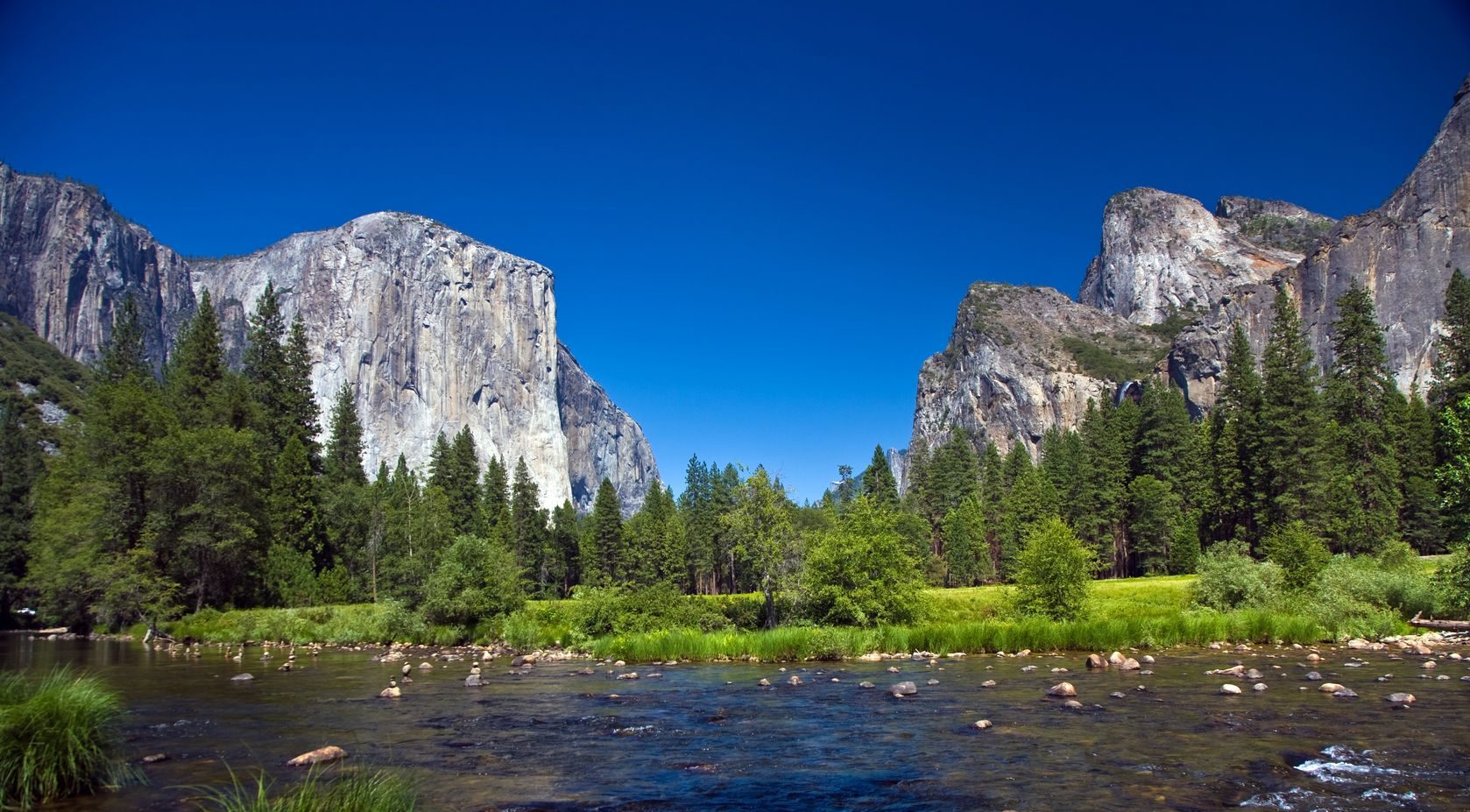 Upcoming CE - CVMA | California Veterinary Medical Association