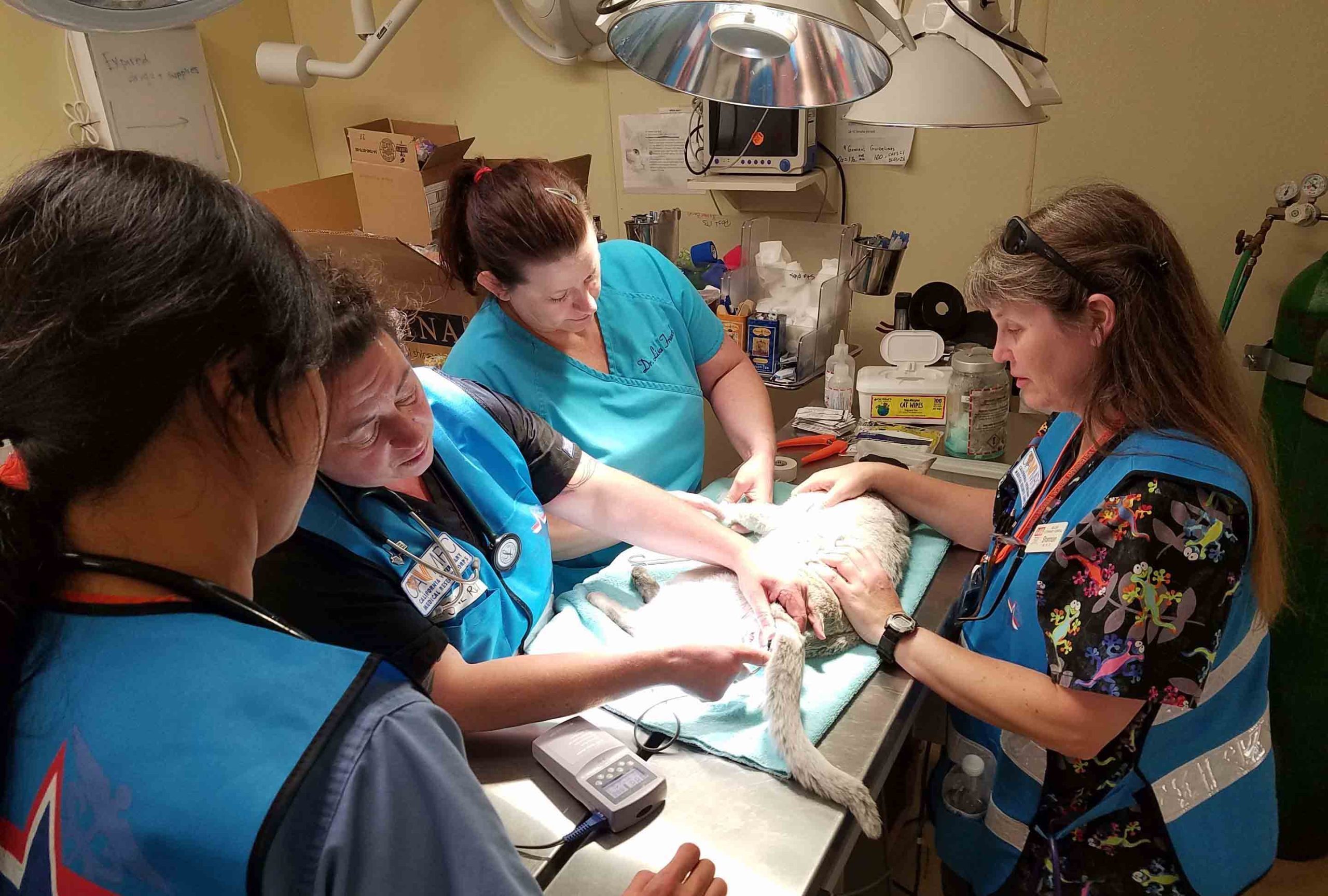 CVMA | Veterinary Continuing Education (CE) Events in California