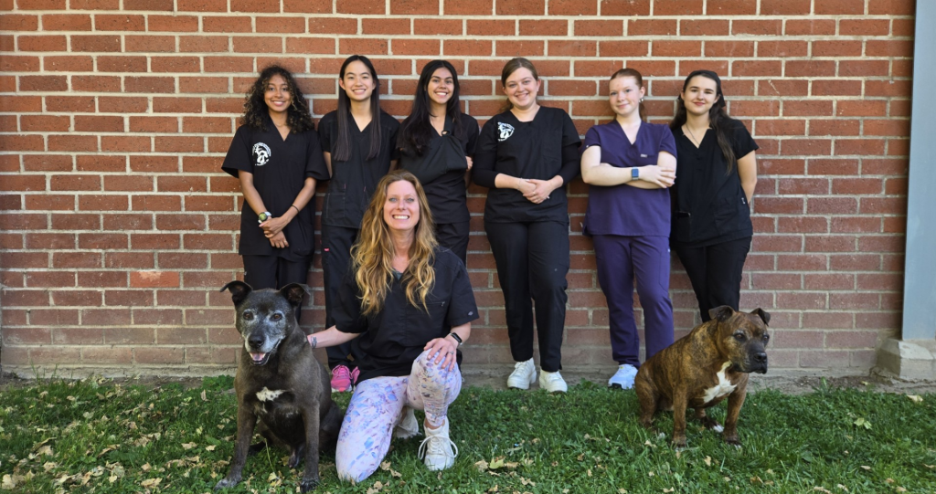 Succeeding in the CVMA CVA Program